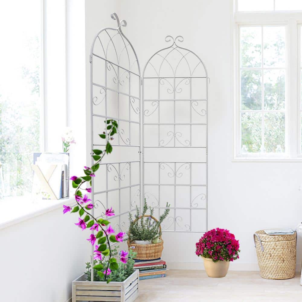 Zeus & Ruta 4-Pack Cream White Metal Garden Trellis, 71 in. x 19.7 in ...