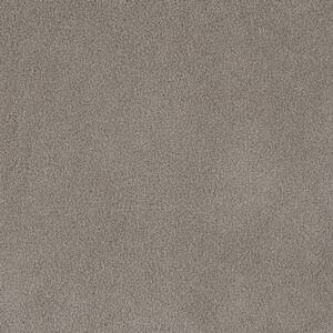 Home Decorators Collection 8 in. x 8 in. Texture Carpet Sample - First ...