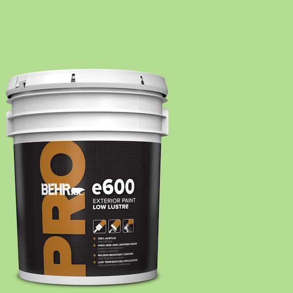 BEHR PRO 5 gal. #MQ4-46 Early Spring Low Luster Exterior Paint PR62005 ...