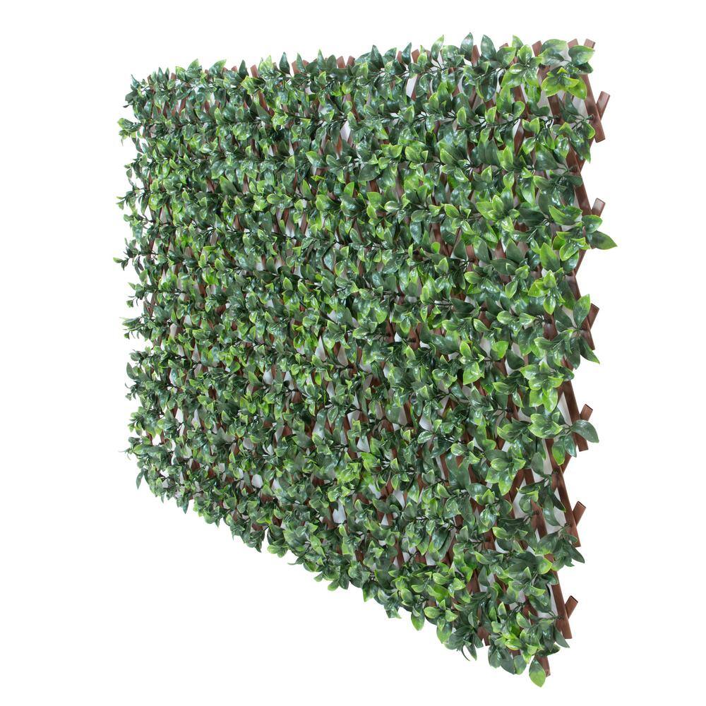 CREATIVE SURFACES Gardenia 34 in. x 76 in. Expandable Trellis (1-Pack ...