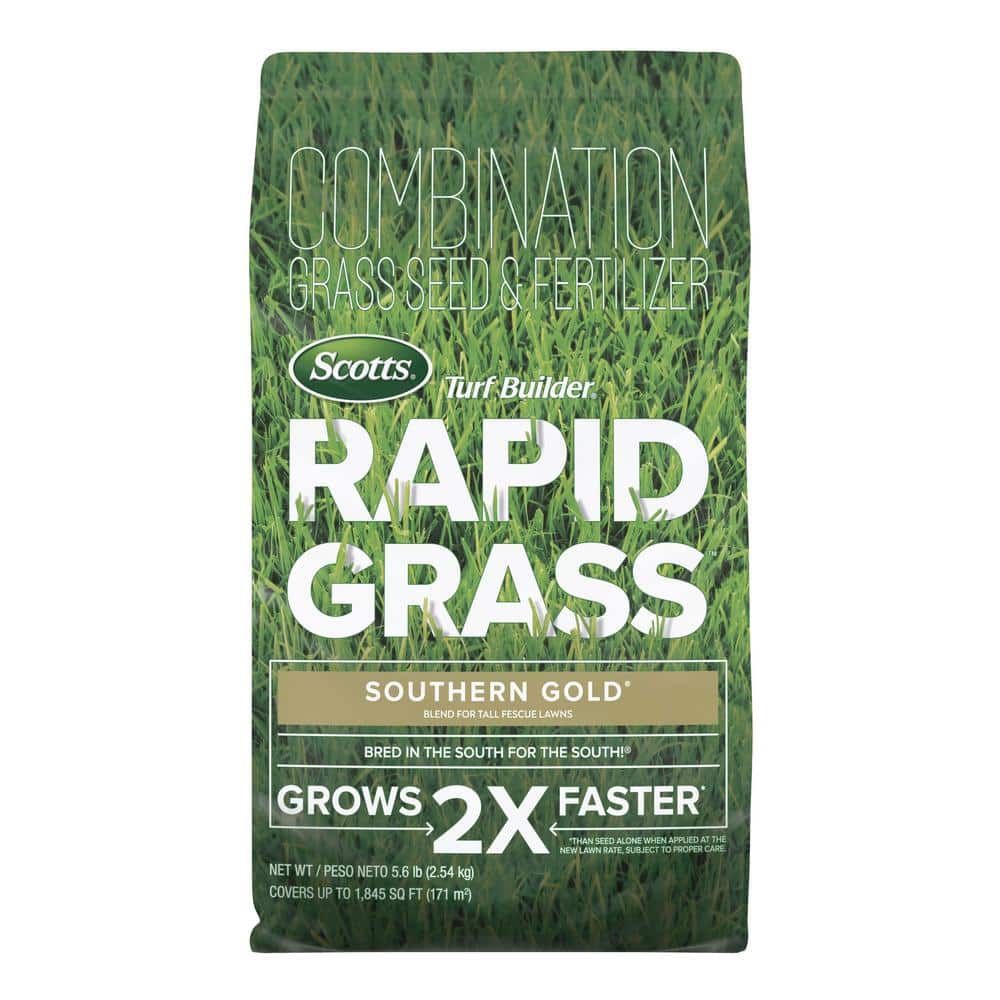Scotts Turf Builder Rapid Grass Southern Gold Blend for Tall Fescue ...