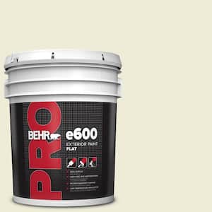 BEHR PRO 1 gal. #PPU9-15 Summer Jasmine Low Luster Exterior Paint ...