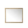 James Martin Vanities Glenbrook 48.0 in. W x 40.0 in. H Rectangular ...