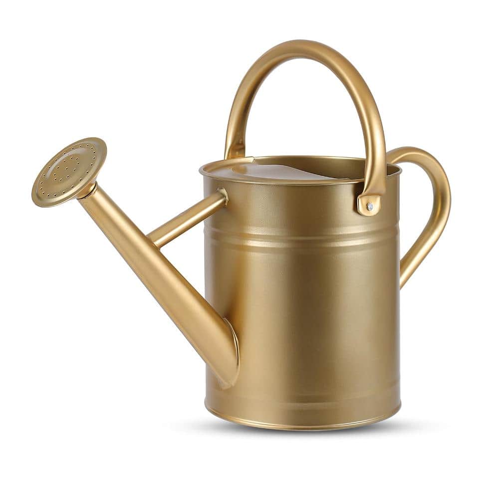 1-Gallon Galvanized Steel Watering Can with Removable Precision Spout ...