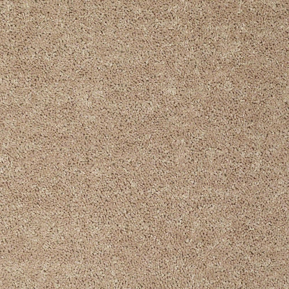 TrafficMaster 8 in. x 8 in. Texture Carpet Sample - Alpine - Color ...