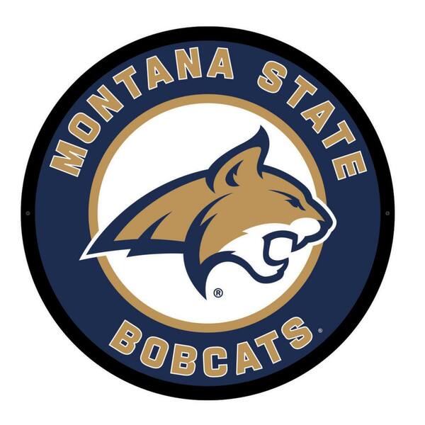 Evergreen Montana State University Round 23 in. Plug-in LED Lighted ...