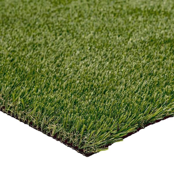 Reviews for Lifeproof with Petproof Technology Premium Pet Turf 15 ft ...