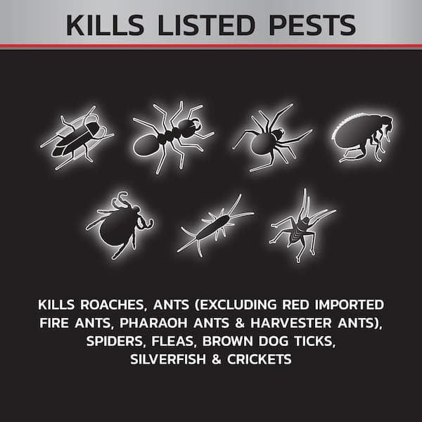 Real-Kill 2 oz. Indoor Fogger Insect Killer Aerosol (6-Count) HG-10064 ...