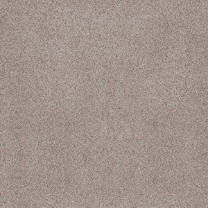 Lifeproof 8 in. x 8 in. Texture Carpet Sample - Sand Dunes II - Color ...