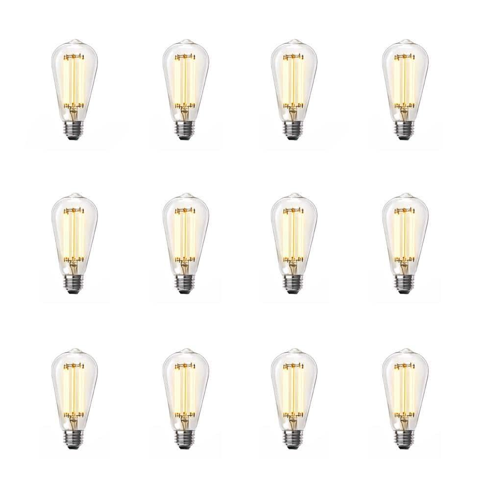 Feit Electric 60-Watt Equivalent ST19 Dimmable Cage Filament Clear ...