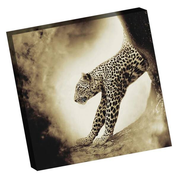 Leopard Stretch to the Light by Grotto Studios 1-Piece Unframed Graphic ...
