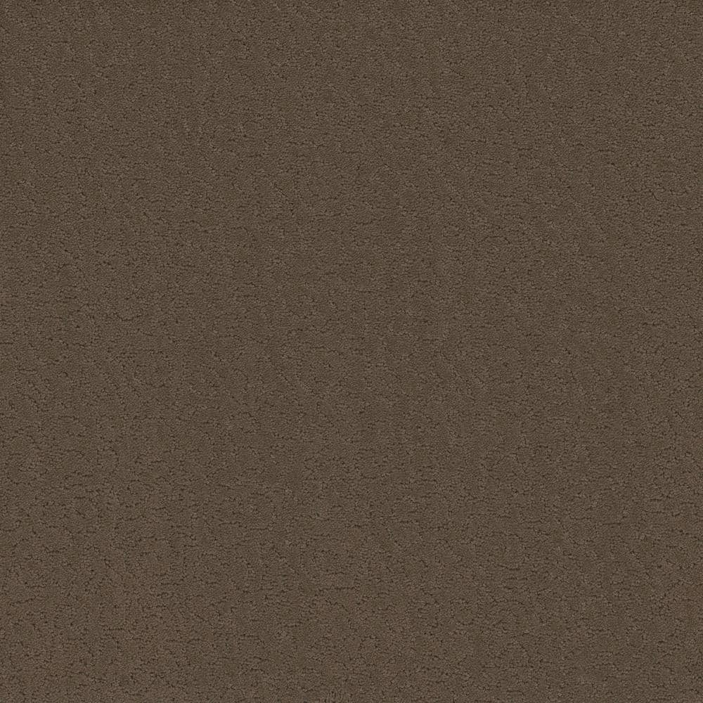 Home Decorators Collection Adalida - Basalt - Brown 40 oz. SD Polyester ...