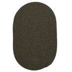 Home Decorators Collection Edward Olive 2 ft. x 10 ft. Braided Runner ...