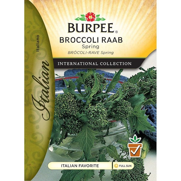 Burpee International Collection Italian Vegetable Broccoli Raab Spring ...