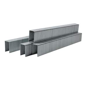 Stinger 3/8 in. A-11 Galvanized Steel Staples (5000-Count) 0940042 ...