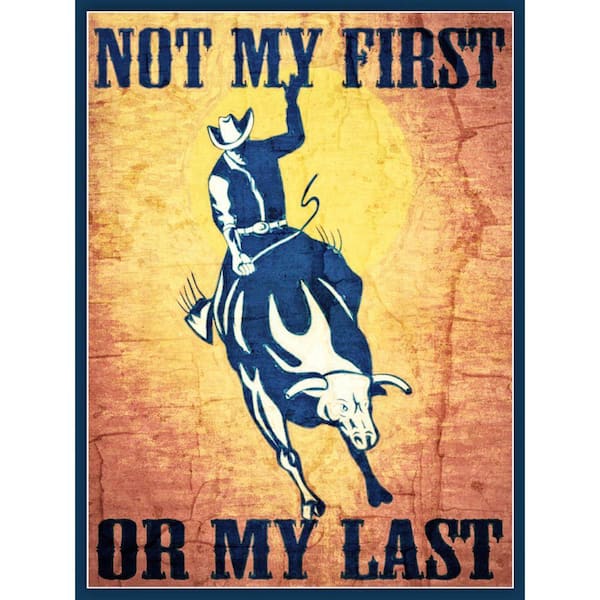 VENICE BEACH Collections Not My First Rodeo by Grotto Studios 1 Piece ...