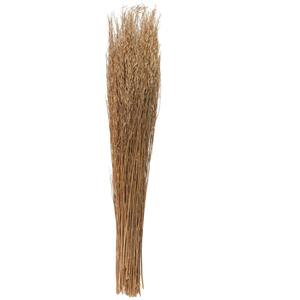 Litton Lane Tall Sticks Natural Foliage (One Bundle) 047393 - The Home ...