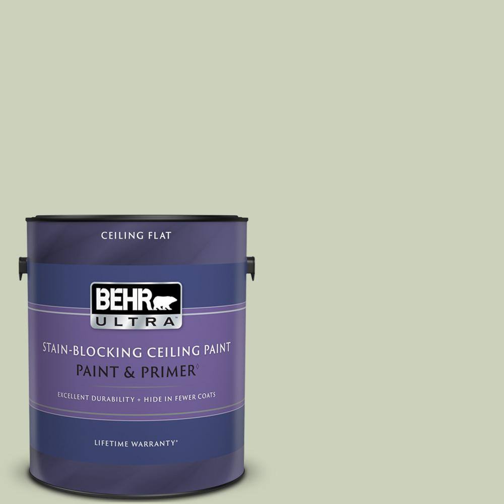 BEHR ULTRA 1 gal. #PPU10-09 Chinese Jade Ceiling Flat Interior Paint ...