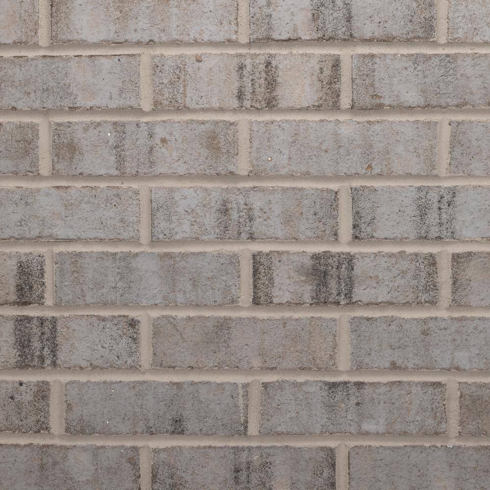 Have a question about Old Mill Brick Sample Box "Ocean Coral" Thin ...