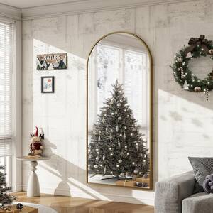 XRAMFY 30 in. W x 71 in. H Arched Classic Black Aluminum Alloy Framed ...