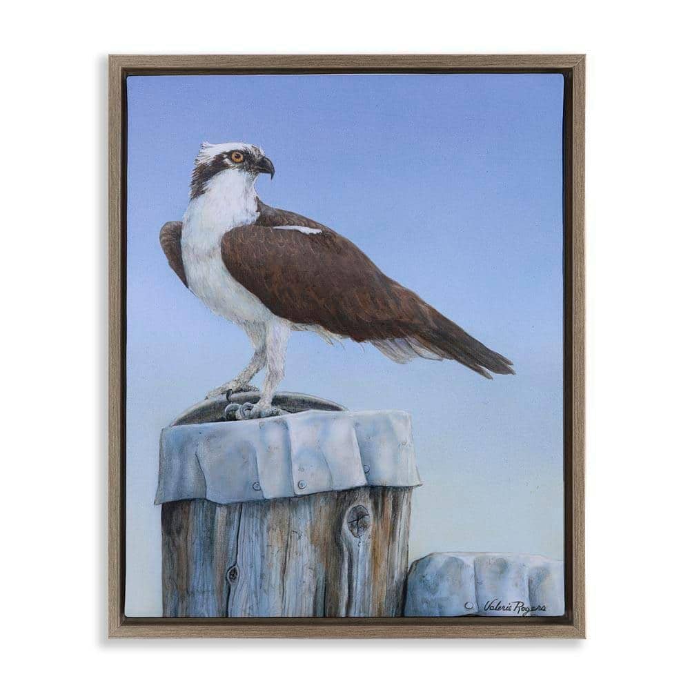 Stupell Industries Harbor Master Bird Perched by Valerie Rogers Brown ...