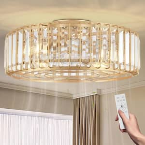 Reviews for FANNEHONNE Diamond 24in. Smart Indoor White and Clear Drum ...