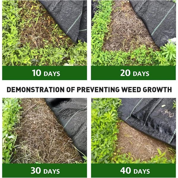 3FT x 100FT Heavy Duty Woven Polypropylene Weed Barrier Fabric 300 Sq ...