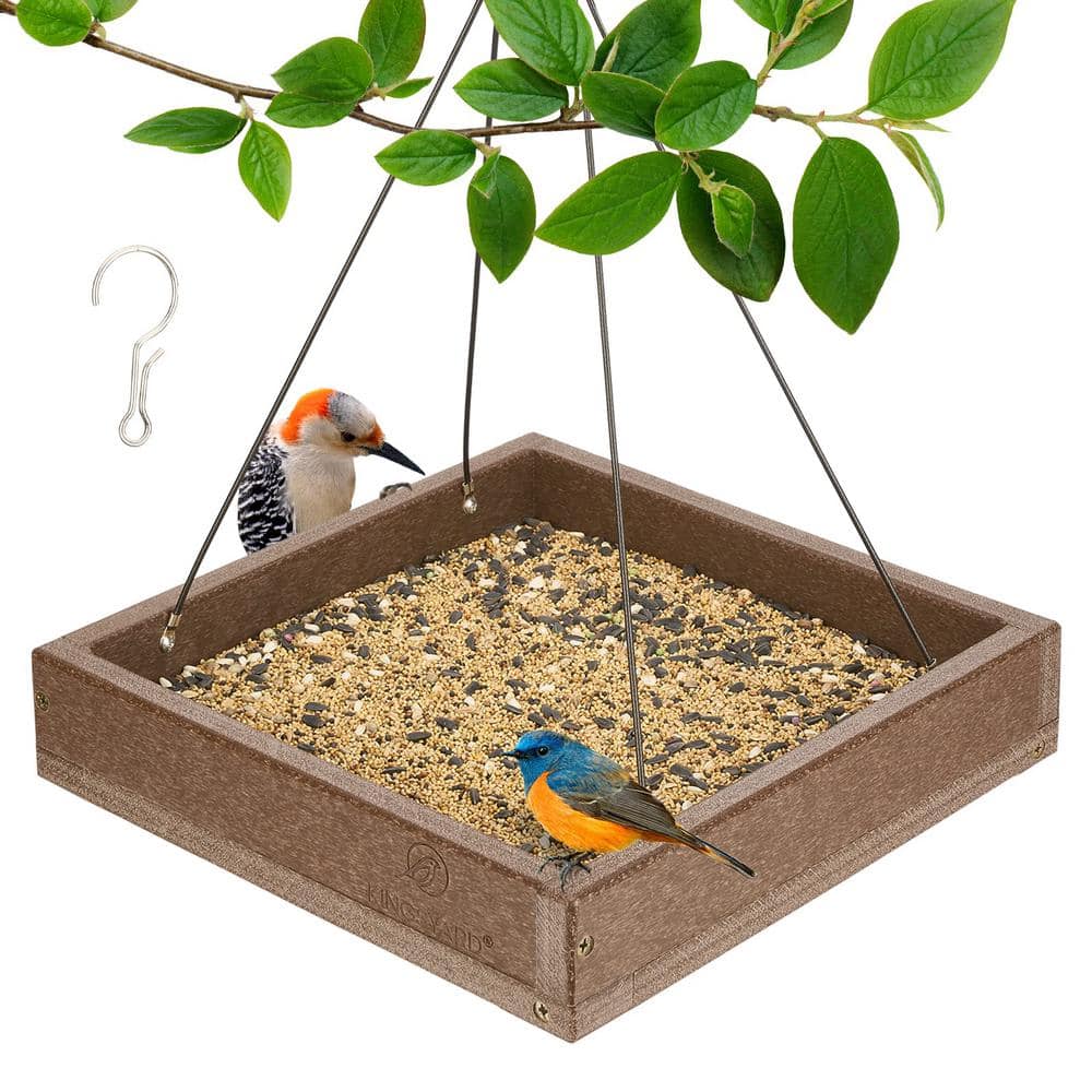 Phewnyzo Stable and Secure Brown Plastic Hanging Wild Bird Seed Feeder ...