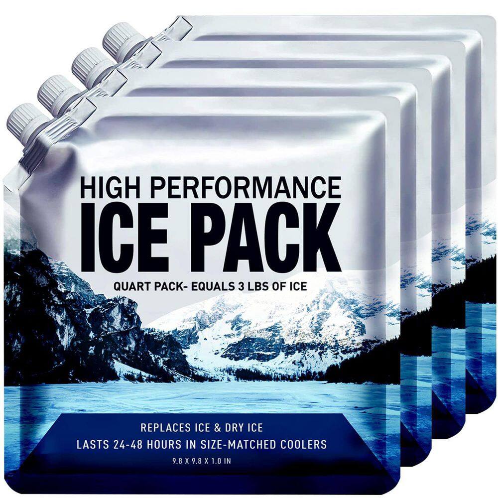 Reusable Ice Packs for Coolers, 4-Pack, Long Lasting Gel Freezer Packs ...