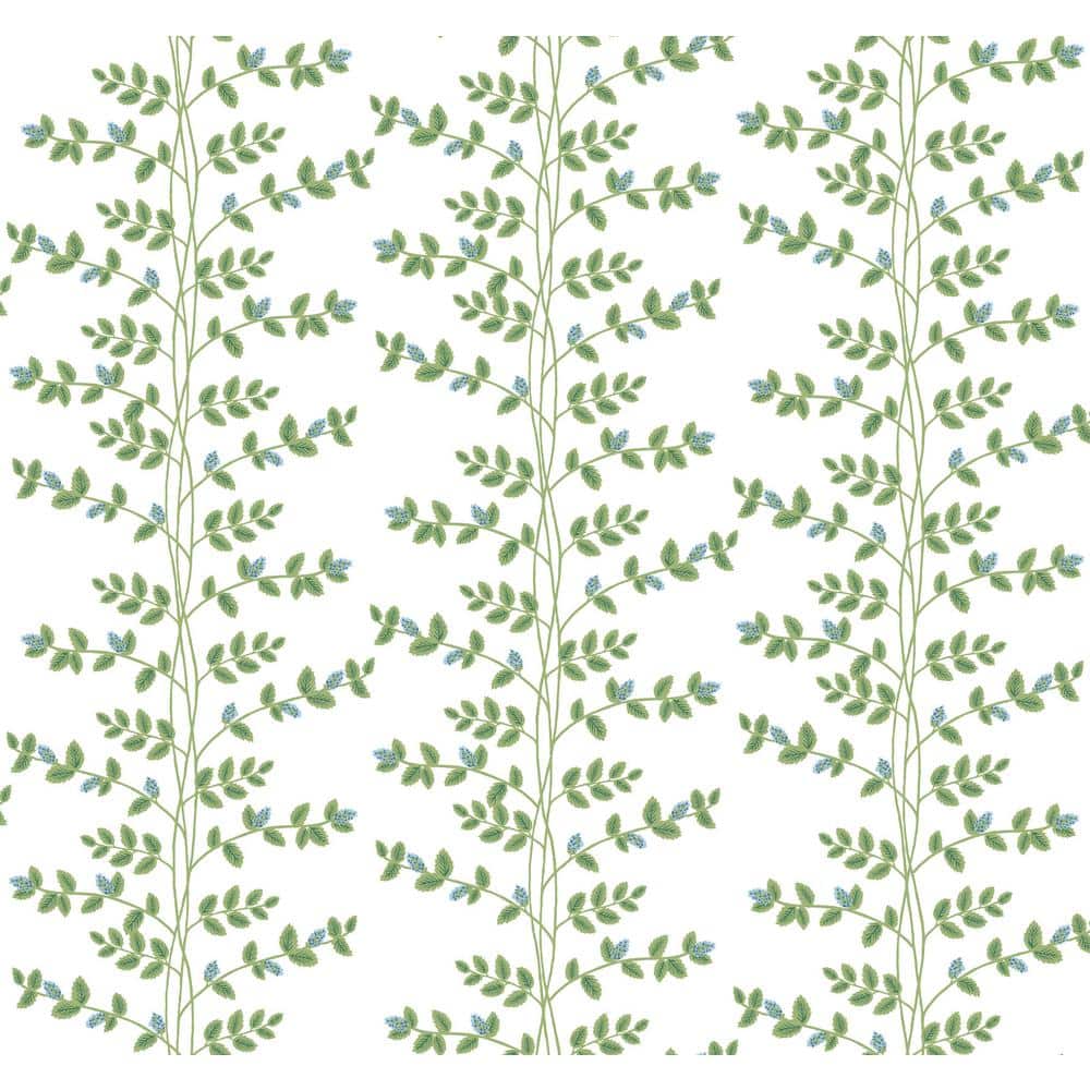 RIFLE PAPER CO. Climbing Vine Blue Green Matte Non-Pasted Wallpaper ...