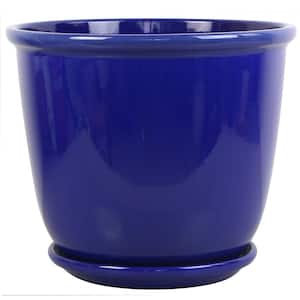 Reviews for Vigoro Delphine Medium Blue Glazed Plastic Planter with ...