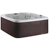 Lifesmart LS700DX 7-Person 90-Jet 230V Standard Spa with Waterfall ...