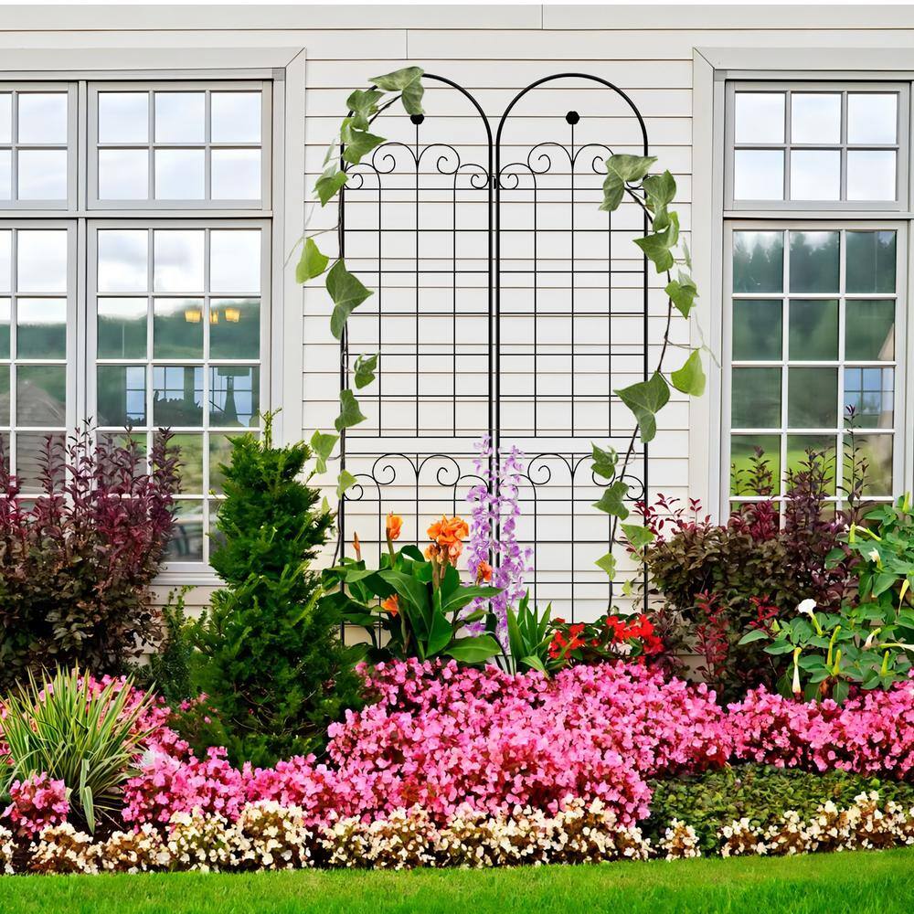 GOGEXX 0.51 in. W x 80 in. L x 87 in. H Metal Arch Garden Trellis ...