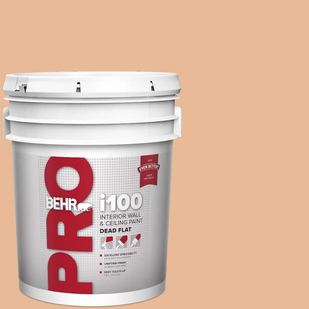 BEHR PRO 5 gal. #280C-3 Fresh Praline Dead Flat Interior Paint PR10505 ...