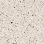 Silestone 2 in. x 4 in. Quartz Countertop Sample in Bamboo-SS-Q0040 ...