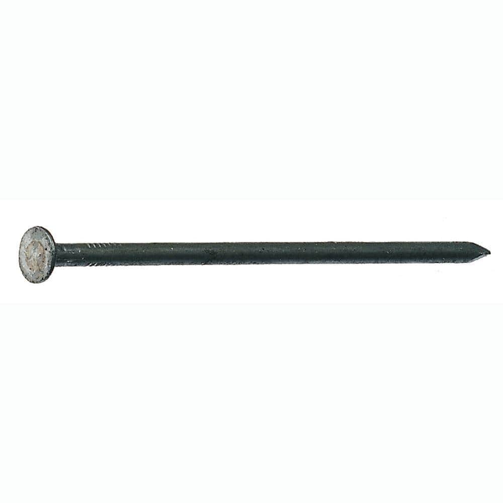 PrimeSource #10 x 3-1/2 in. 16-Penny Bright Steel Box Nail (5 lb.-Pack ...