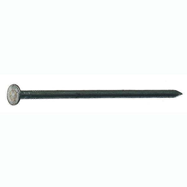PrimeSource #10 x 3-1/2 in. 16-Penny Bright Steel Box Nail (5 lb.-Pack ...