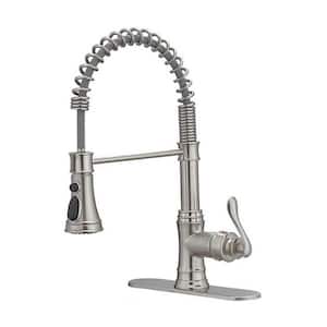 Single Handle Pull-Down Sprayer Kitchen Faucet with Flexible and Power ...
