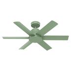 Hunter Kennicott 44 in. Indoor/Outdoor Dusty Green Ceiling Fan 59612 ...