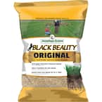 Barenbrug 50 lb. Panterra V OverSeeding Rye Grass Seed 25080