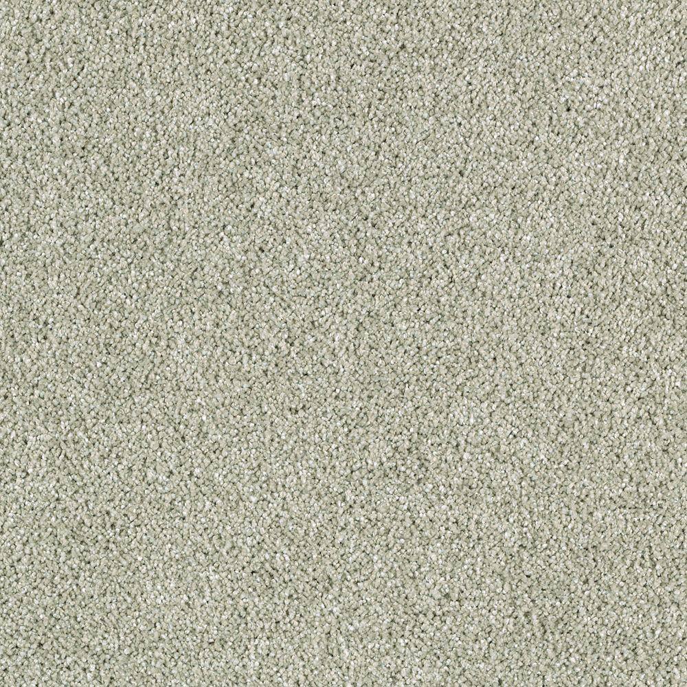 TrafficMaster Private Retreat II - Color Radiance 12 ft. Carpet 0617D ...