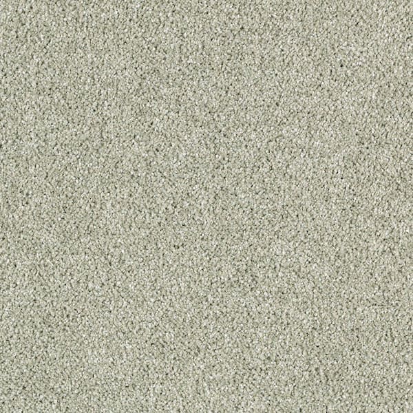 TrafficMaster Private Retreat II - Color Radiance 12 ft. Carpet 0617D ...