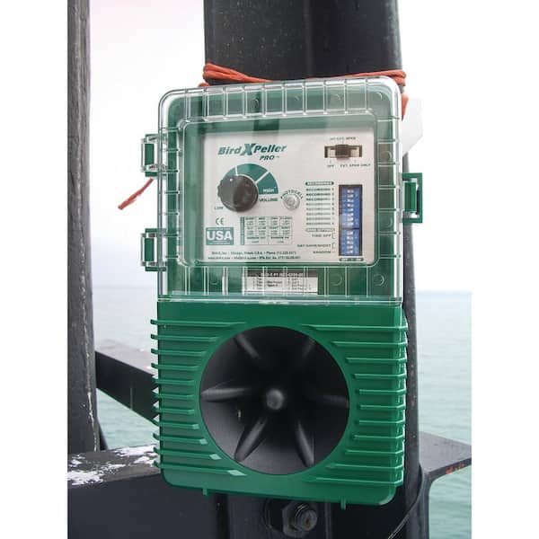 Site is created successfully!