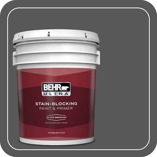 BEHR ULTRA 5 gal. #PPU24-22 Shadow Mountain Extra Durable Flat Interior ...