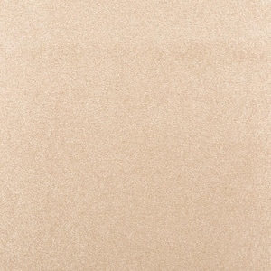 Lifeproof with Petproof Technology 8 in. x 8 in. Texture Carpet Sample ...