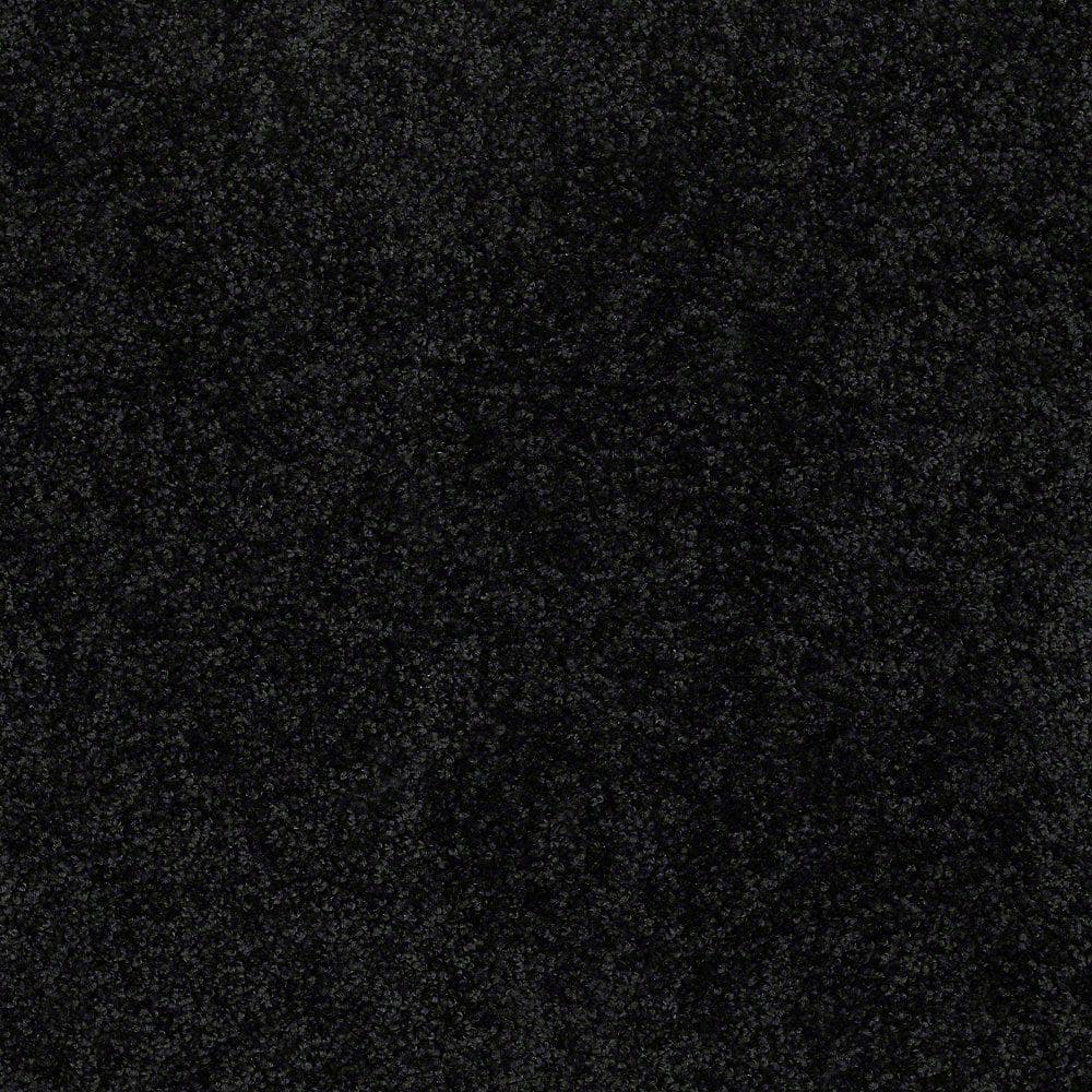 TrafficMaster 8 in. x 8 in. Texture Carpet Sample - Alpine - Color ...