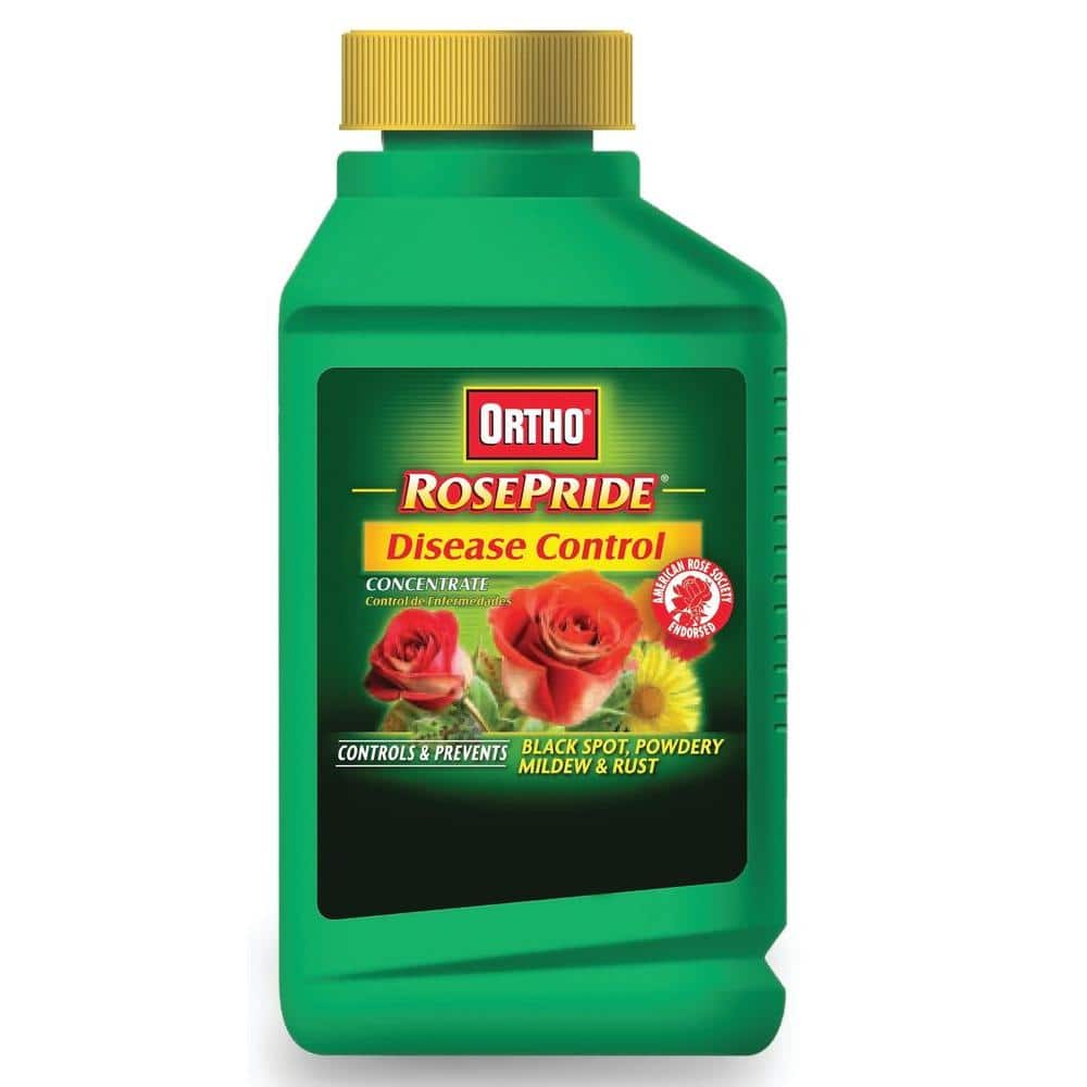 Ortho RosePride 16 oz. Concentrate Rose and Shrub Disease Control ...