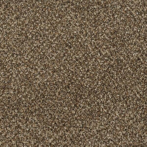 Home Decorators Collection Serendipity I - Color Frosted Cappuccino ...