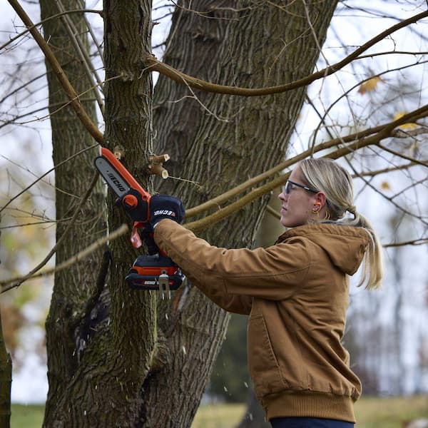 ECHO 56V 6 in. Brushless Cordless Battery Powered Handheld Mini Pruning ...