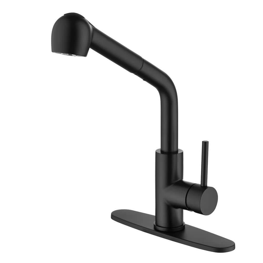 Fapully Single Handle Pull-Down Sprayer Kitchen Faucet with in Matte ...